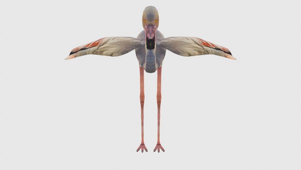 modelo 3d Low Poly Flamingo Rigged con textura realista - TurboSquid ...
