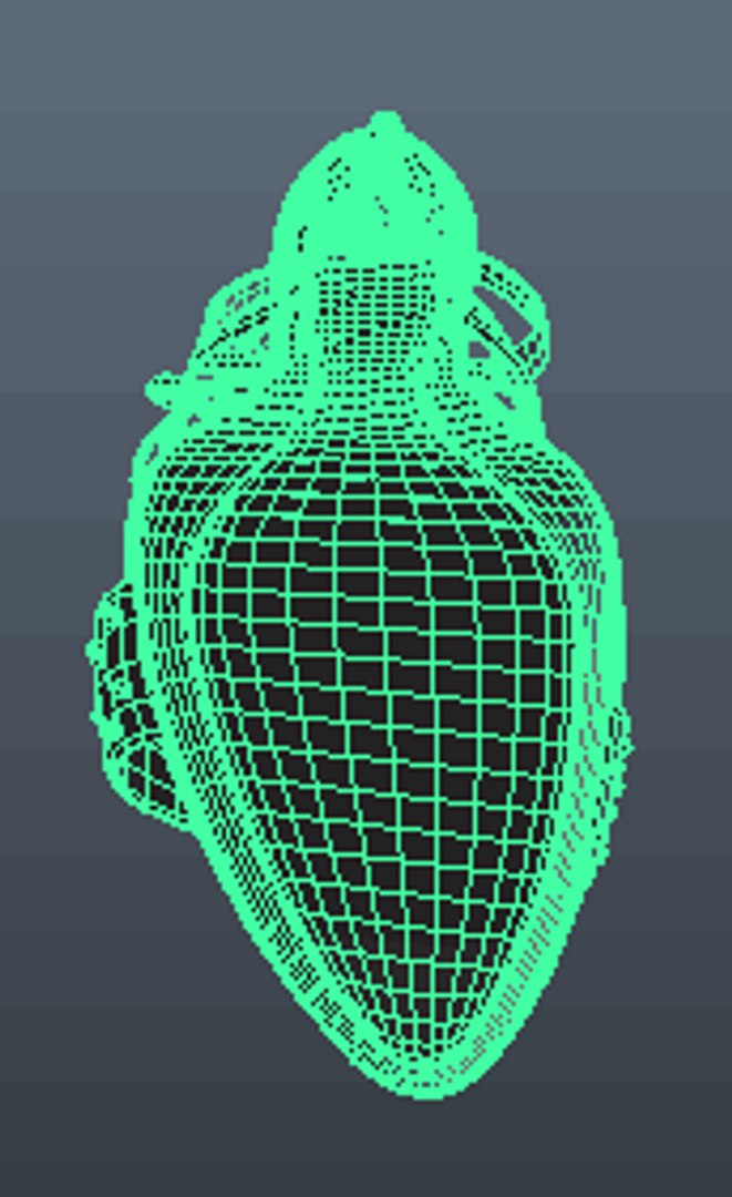 3D Model Life - TurboSquid 1207221