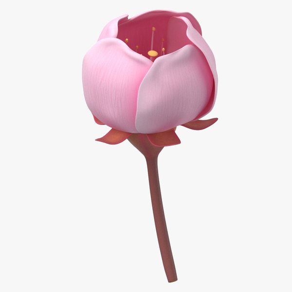 Free 3D Cherry-Blossom Models | TurboSquid