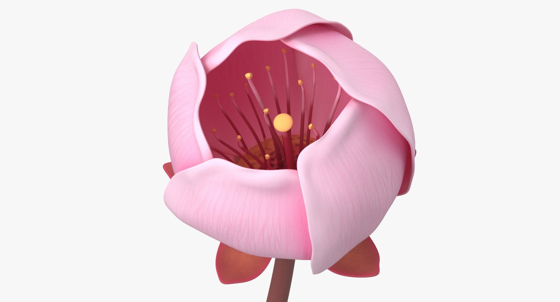 Prop 18 Cherry Blossom Sprig Type 03 Model - TurboSquid 2146771