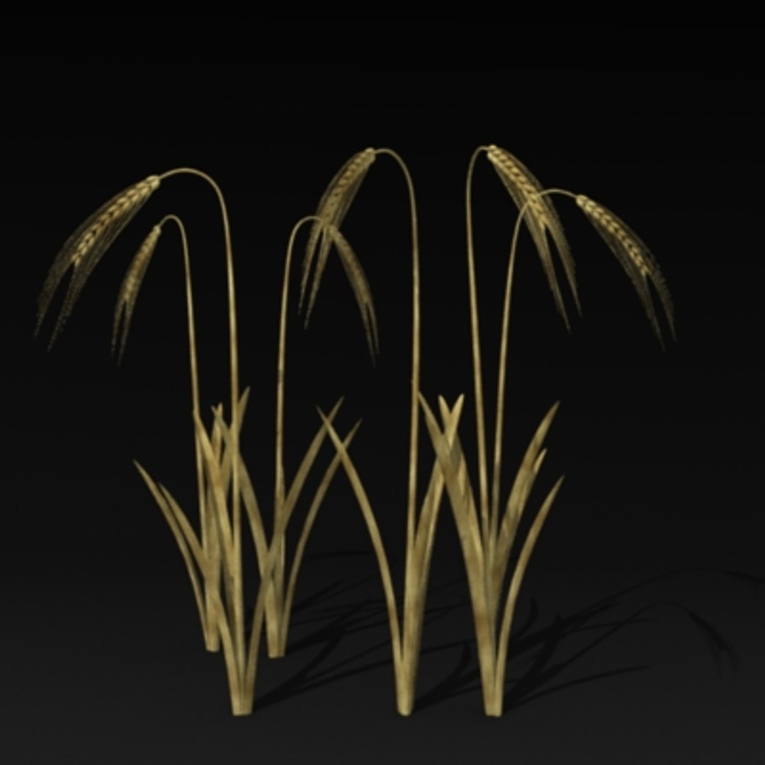 3ds Max Barley