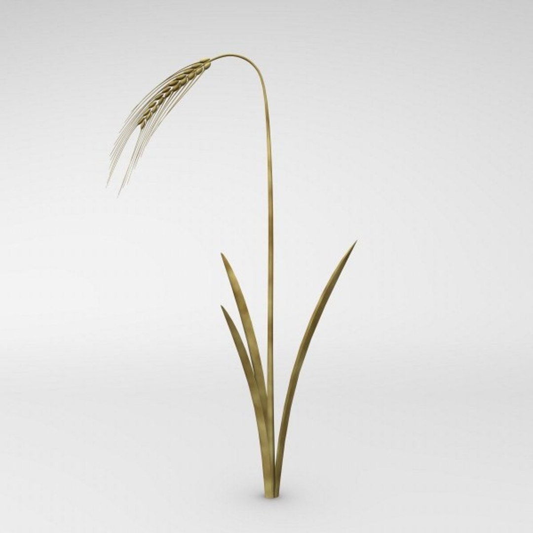 3ds Max Barley