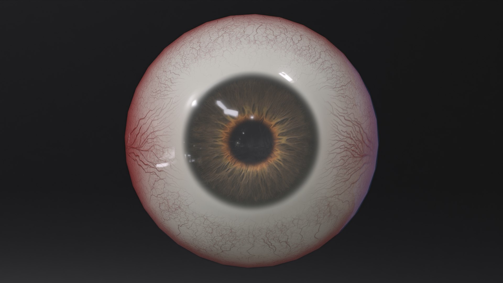 Human Eye 3D model - TurboSquid 2155241
