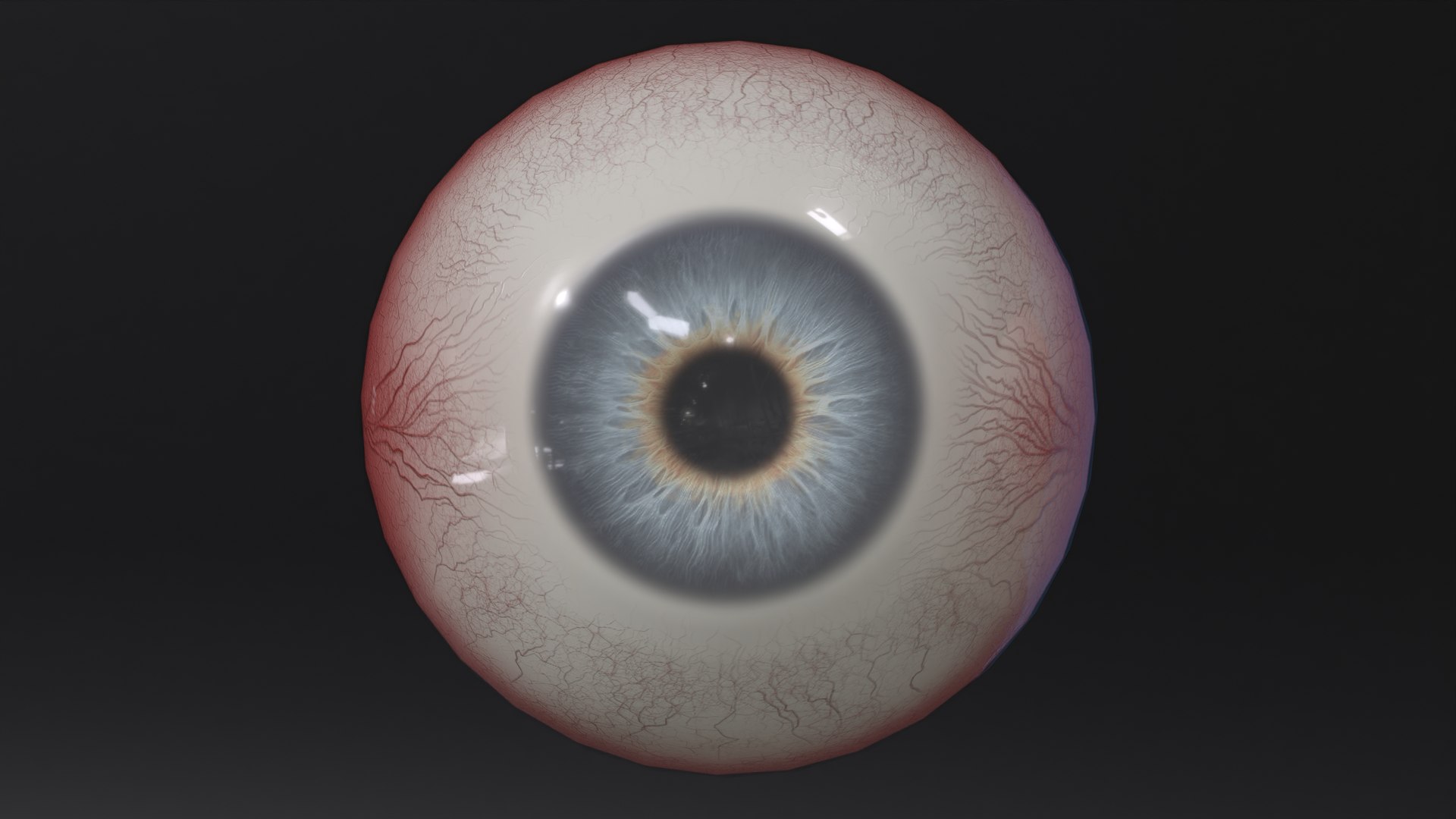Human Eye 3D model - TurboSquid 2155241