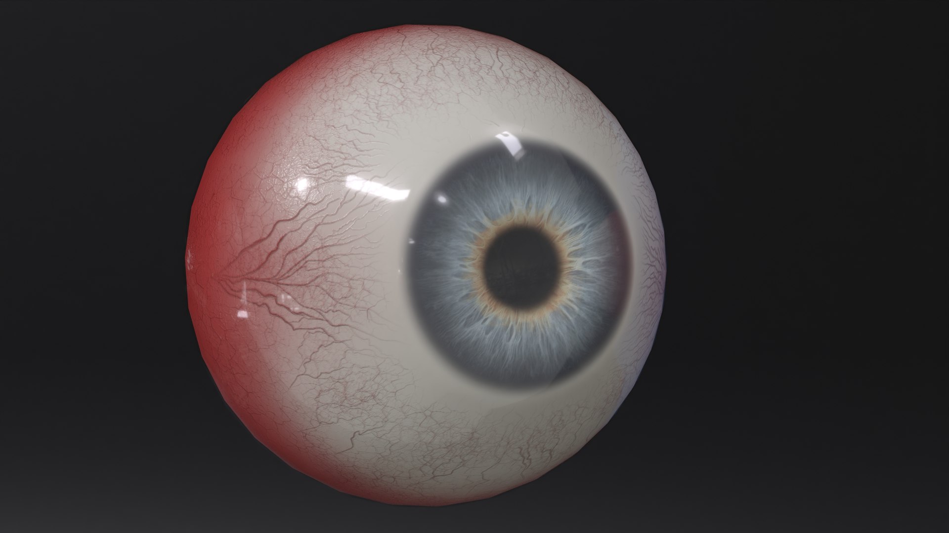 Human Eye 3D model - TurboSquid 2155241