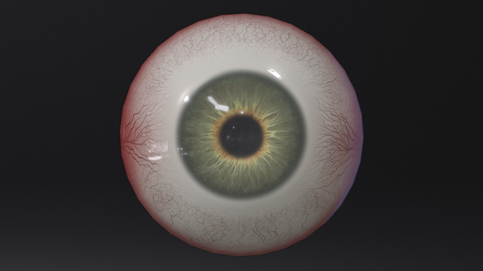 Human Eye 3D model - TurboSquid 2155241
