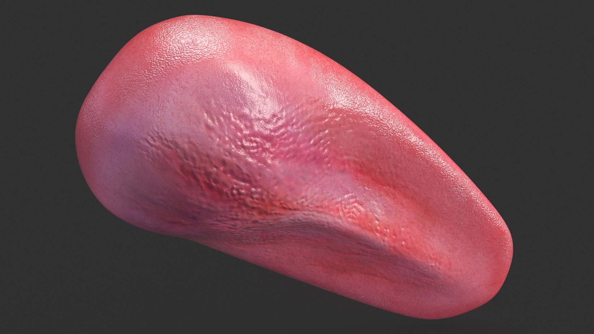 Human Tongue Anatomy 3D Model - TurboSquid 2128320