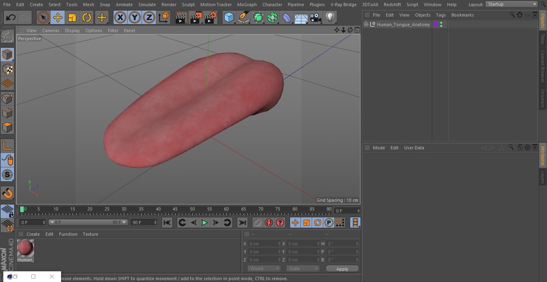 Human Tongue Anatomy 3D Model - TurboSquid 2128320