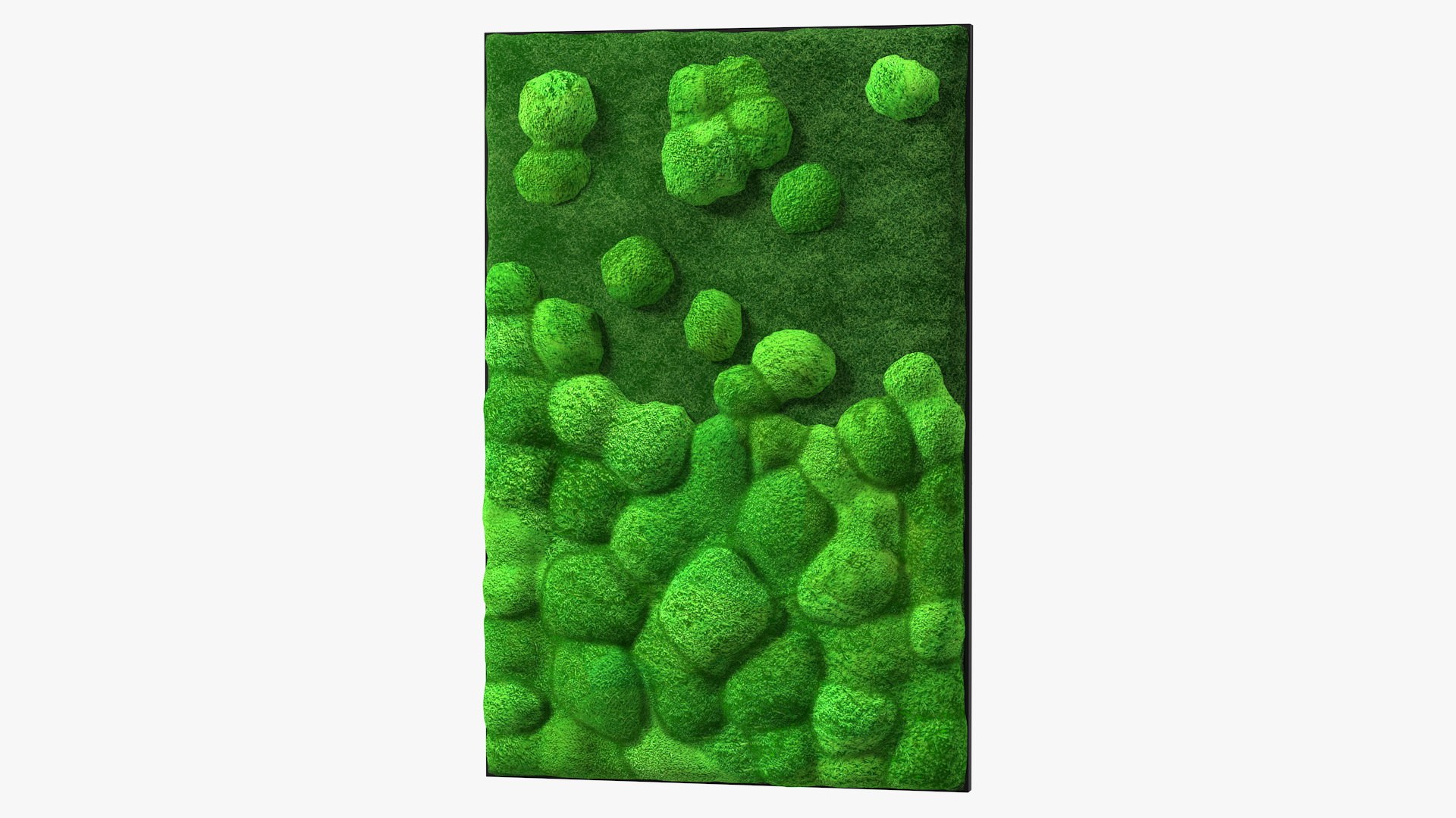 Evergreen moss vertical garden 3D - TurboSquid 1654924