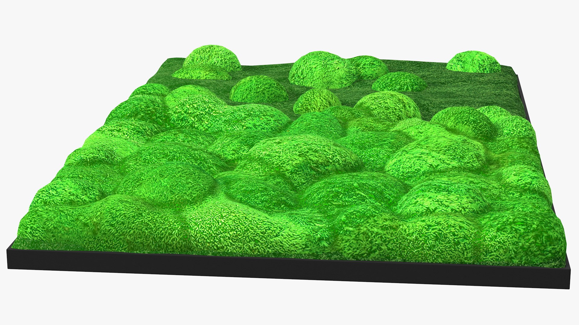 Evergreen Moss Vertical Garden 3D - TurboSquid 1654924