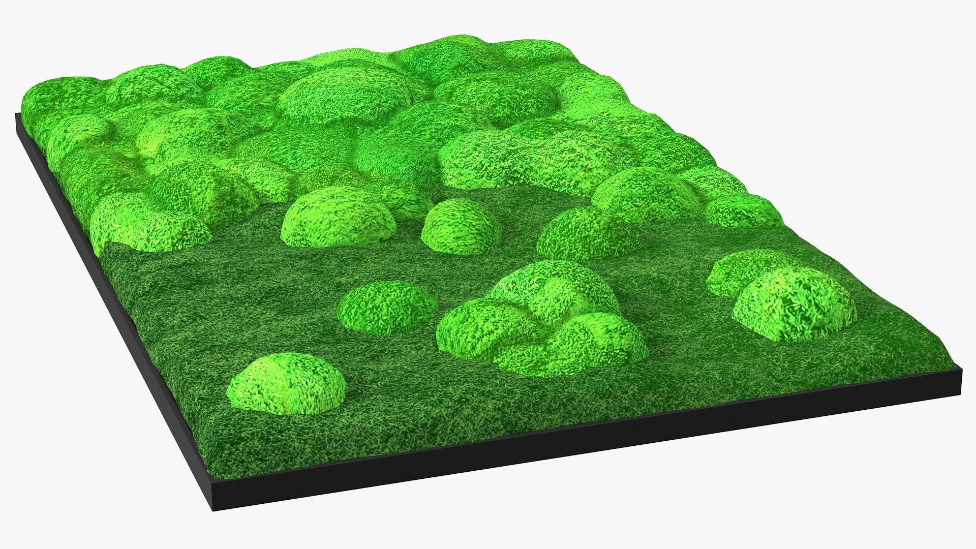 Evergreen Moss Vertical Garden 3D - TurboSquid 1654924