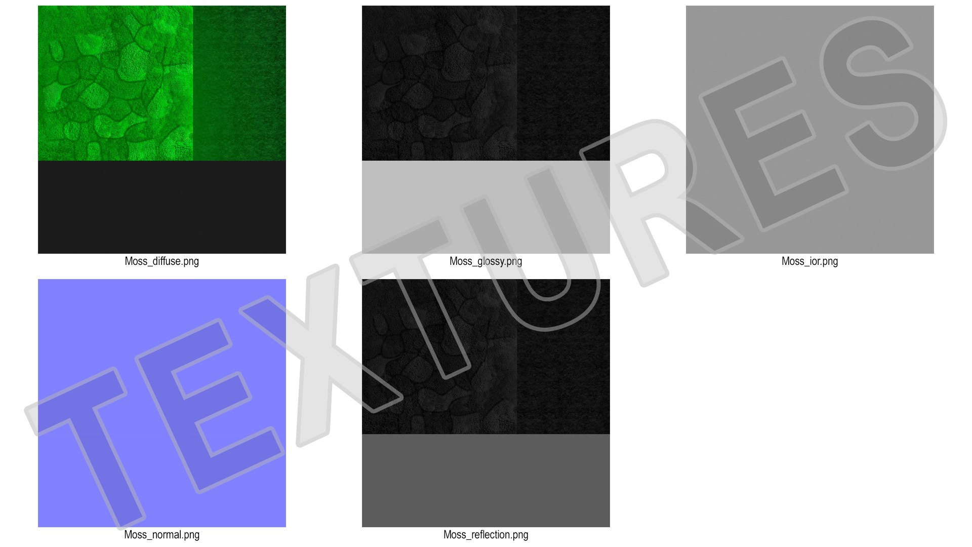 Evergreen moss vertical garden 3D - TurboSquid 1654924