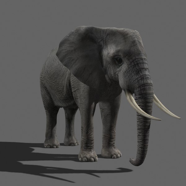 elephant pros 3d