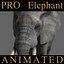 Elephant Pros 3d