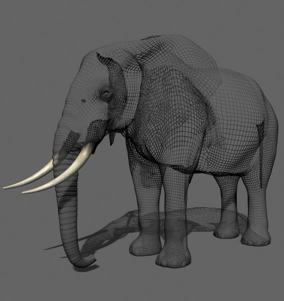 elephant pros 3d