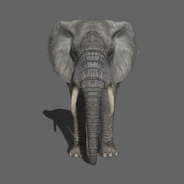 elephant pros 3d