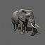 Elephant Pros 3d