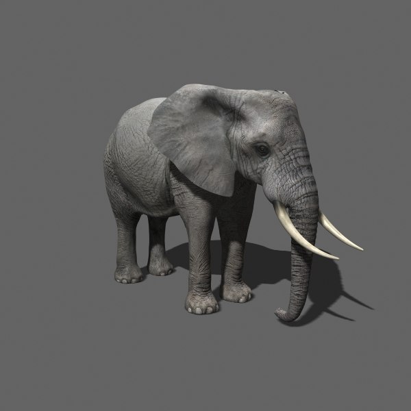 elephant pros 3d