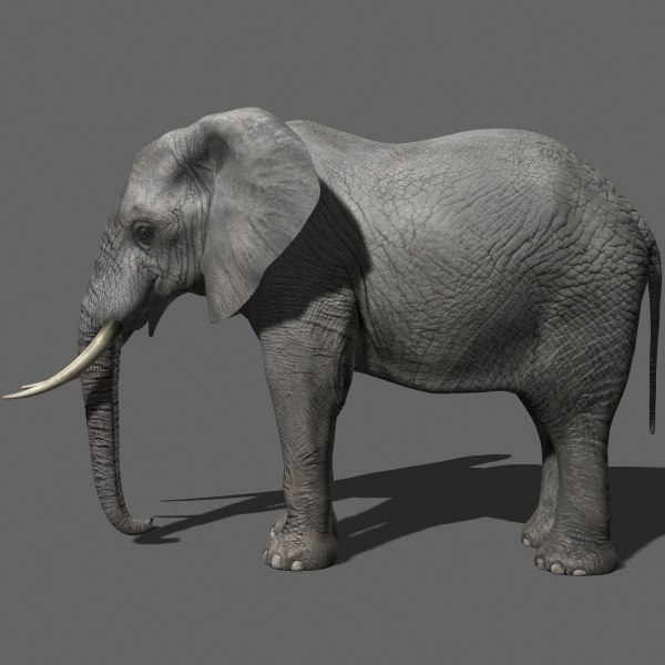 elephant pros 3d