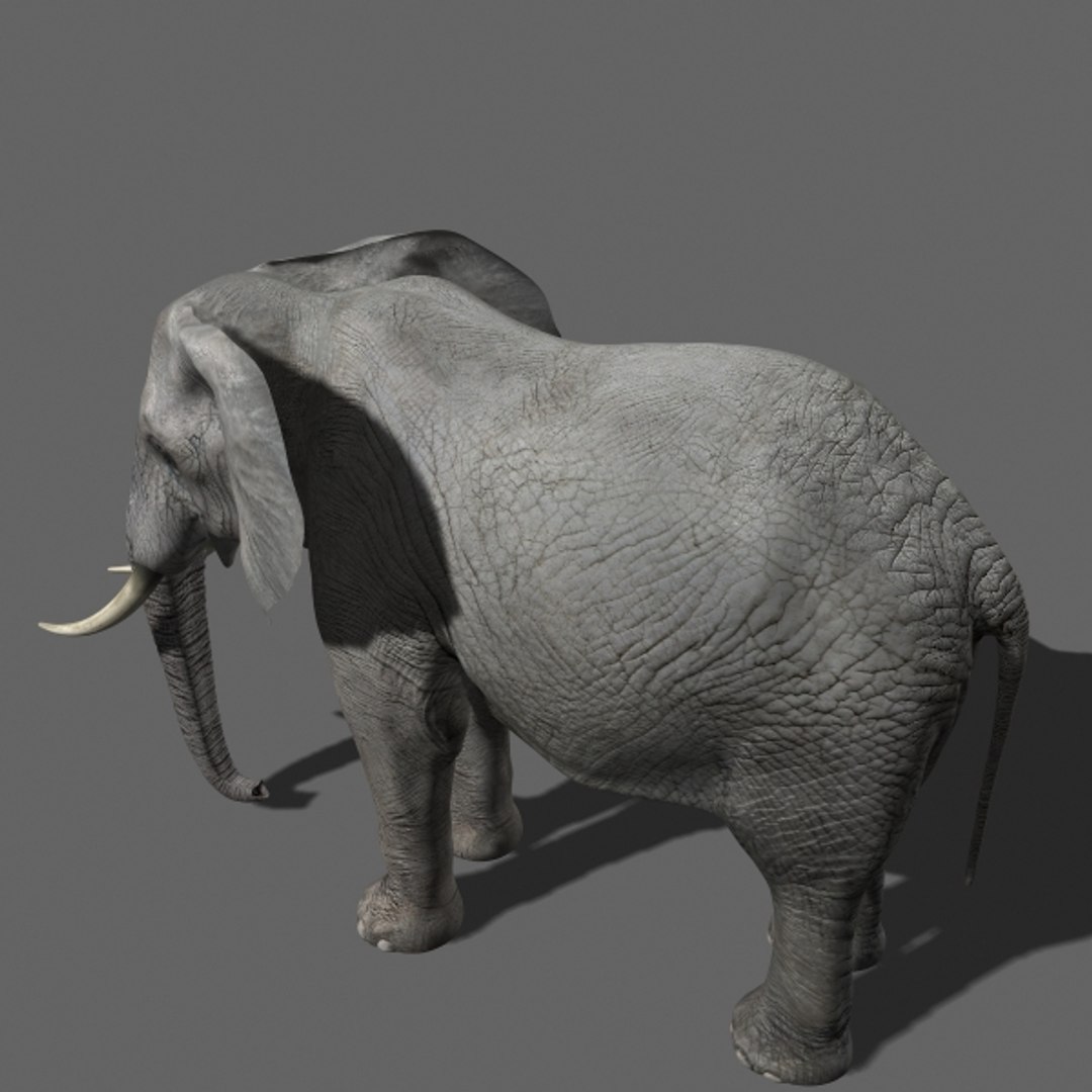 elephant pros 3d