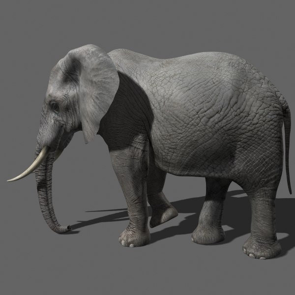 elephant pros 3d
