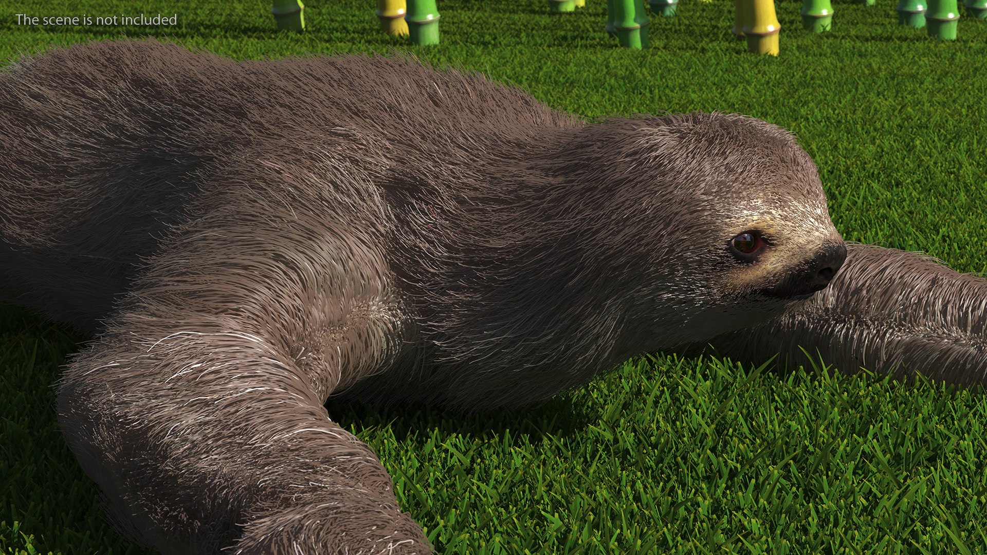 Sloth Fur Rigged 3D - TurboSquid 2180208