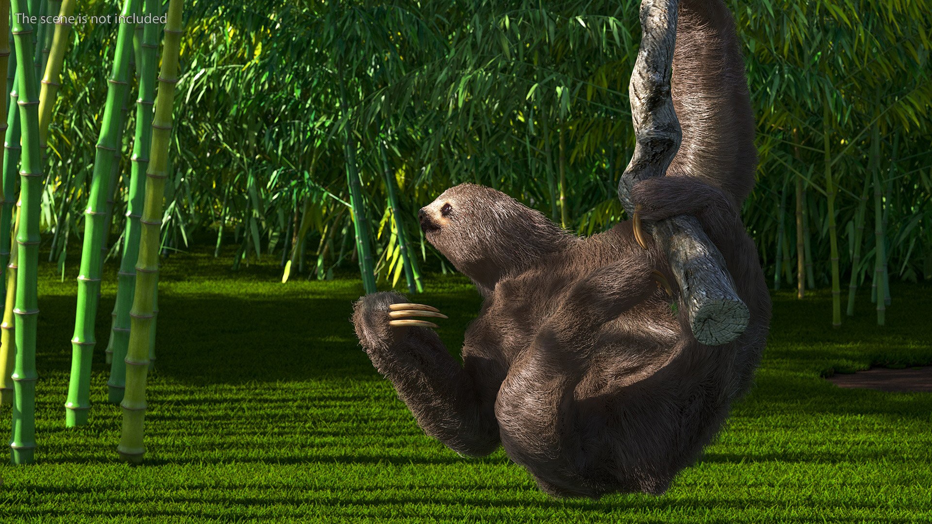 Sloth Fur Rigged 3D - TurboSquid 2180208