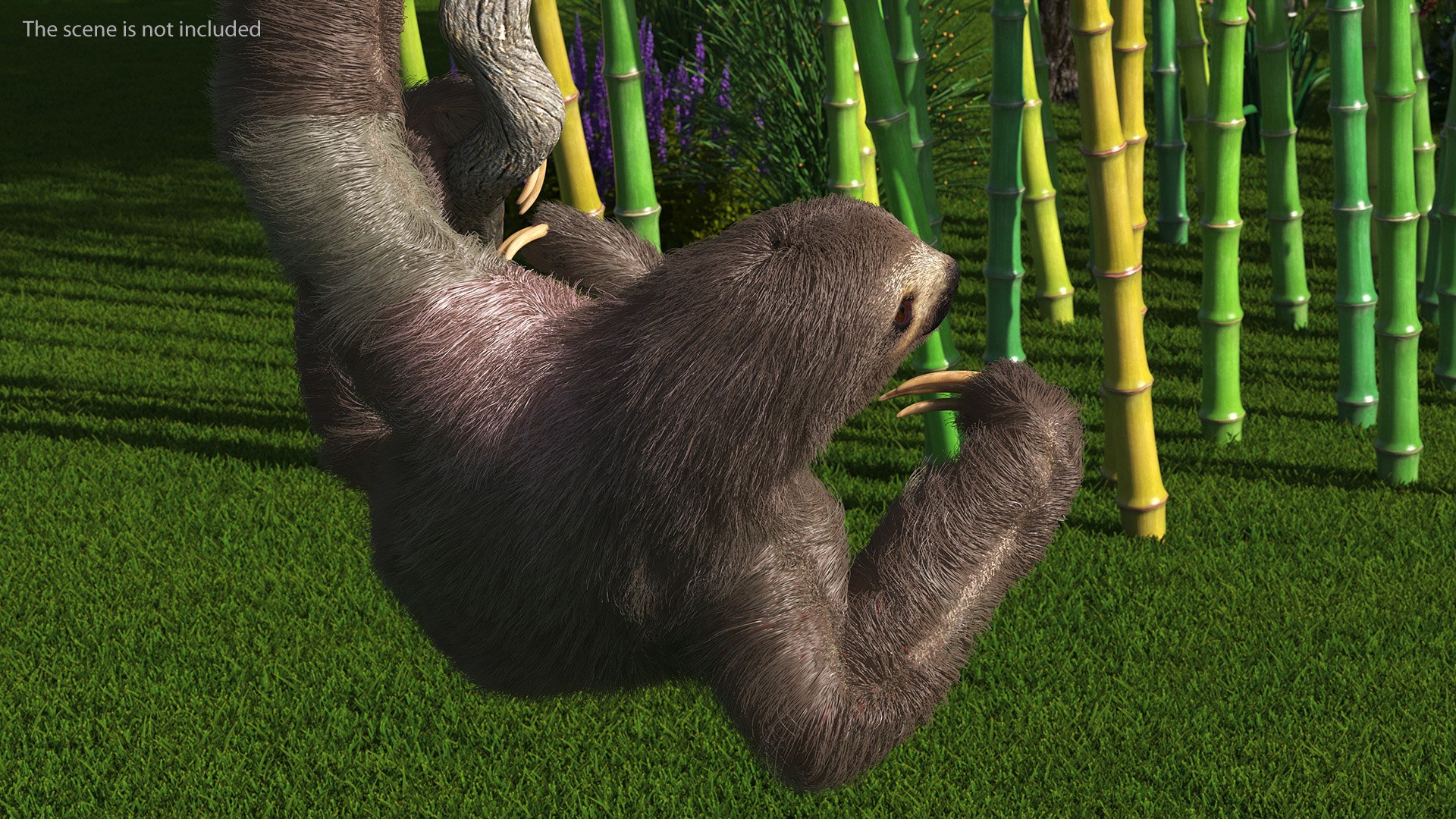 Sloth Fur Rigged 3D - TurboSquid 2180208