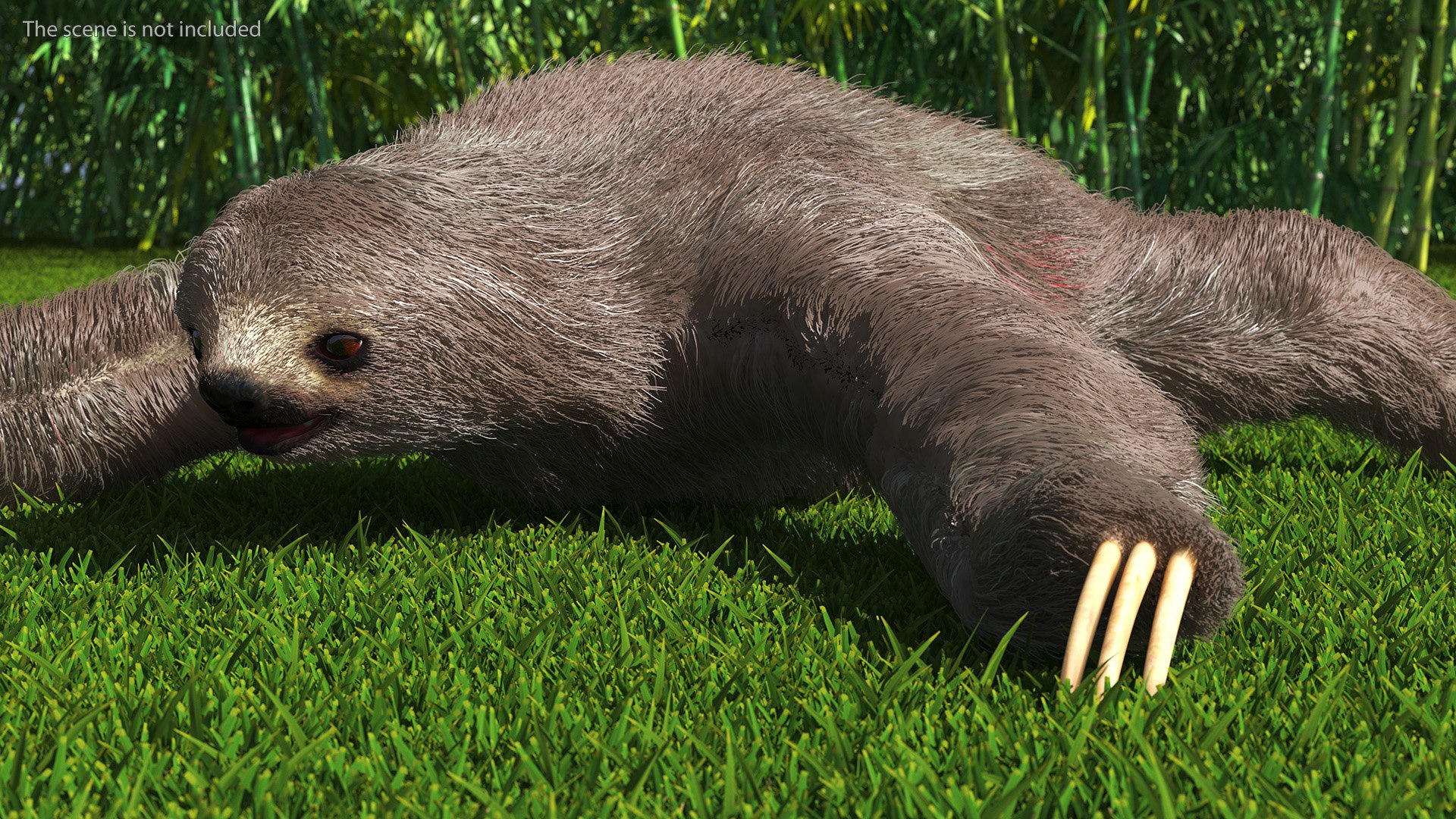 Sloth Fur Rigged 3D - TurboSquid 2180208