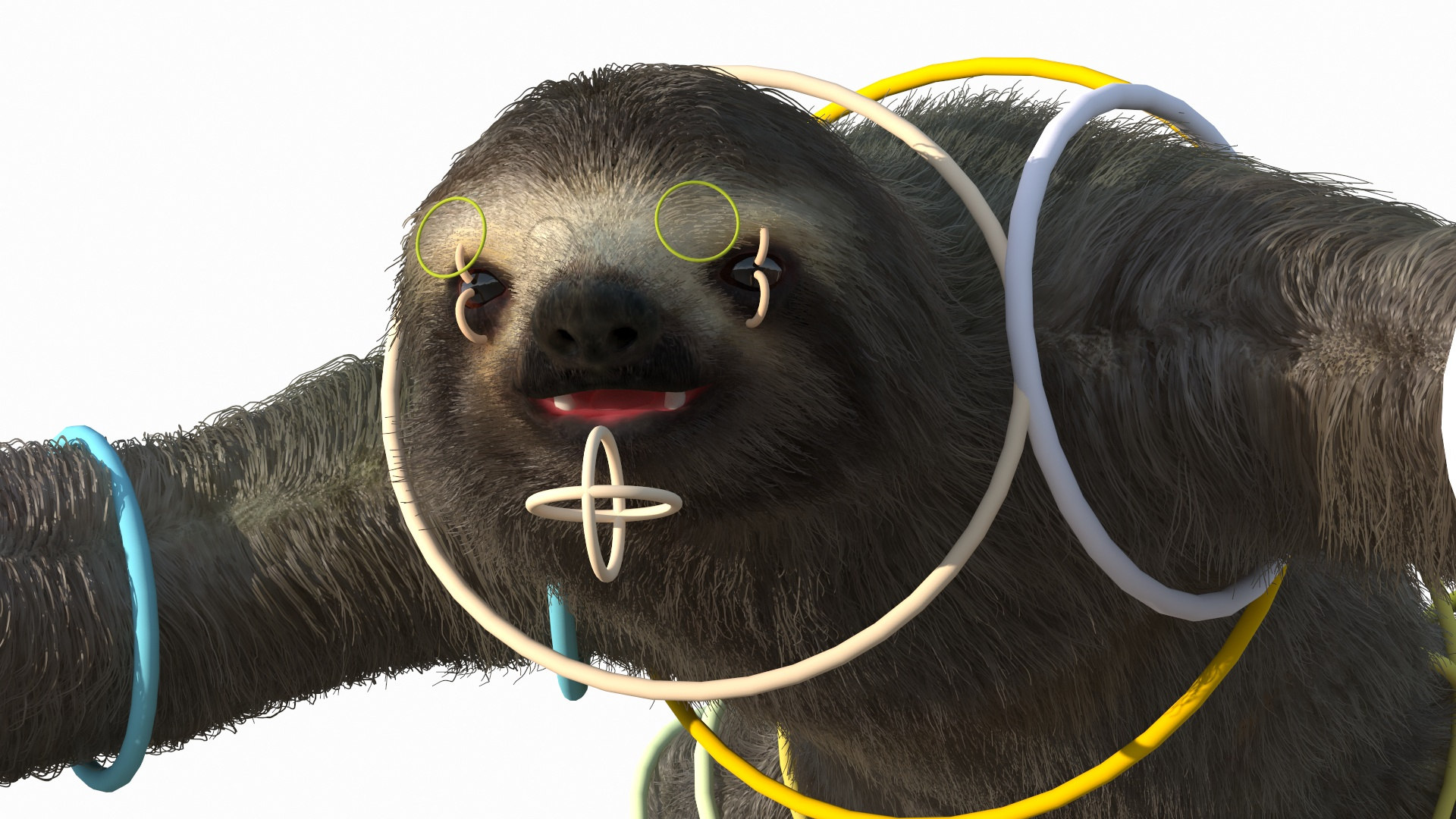 Sloth Fur Rigged 3D - TurboSquid 2180208