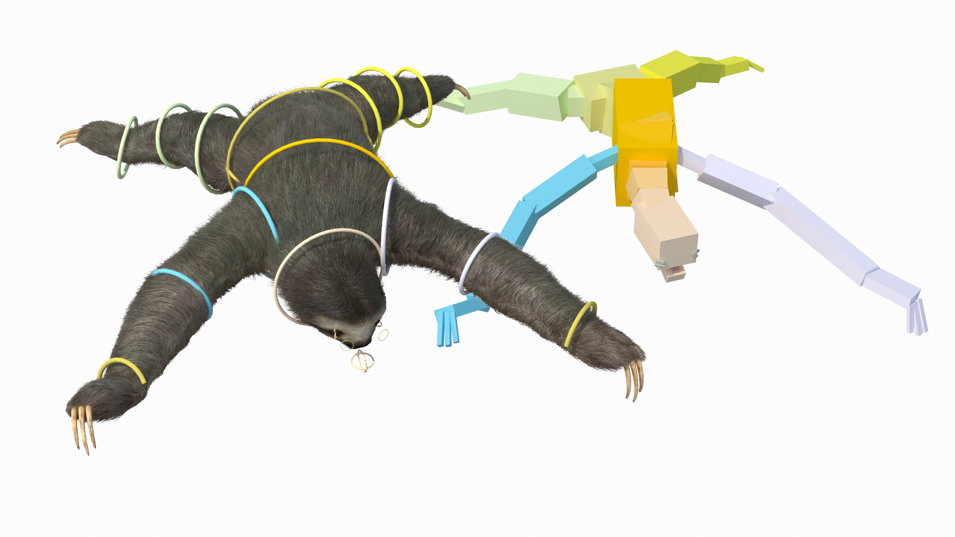 Sloth Fur Rigged 3D - TurboSquid 2180208