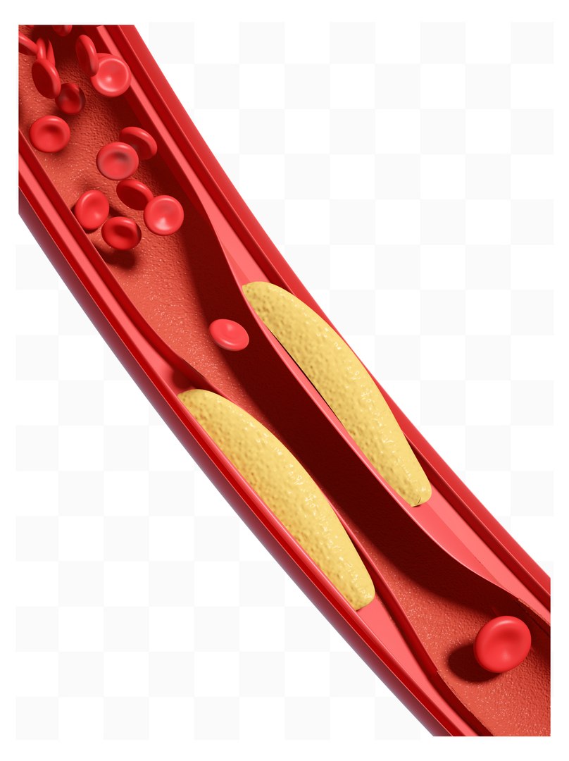 3D Blood vessel close-up medical cell model - TurboSquid 2045265