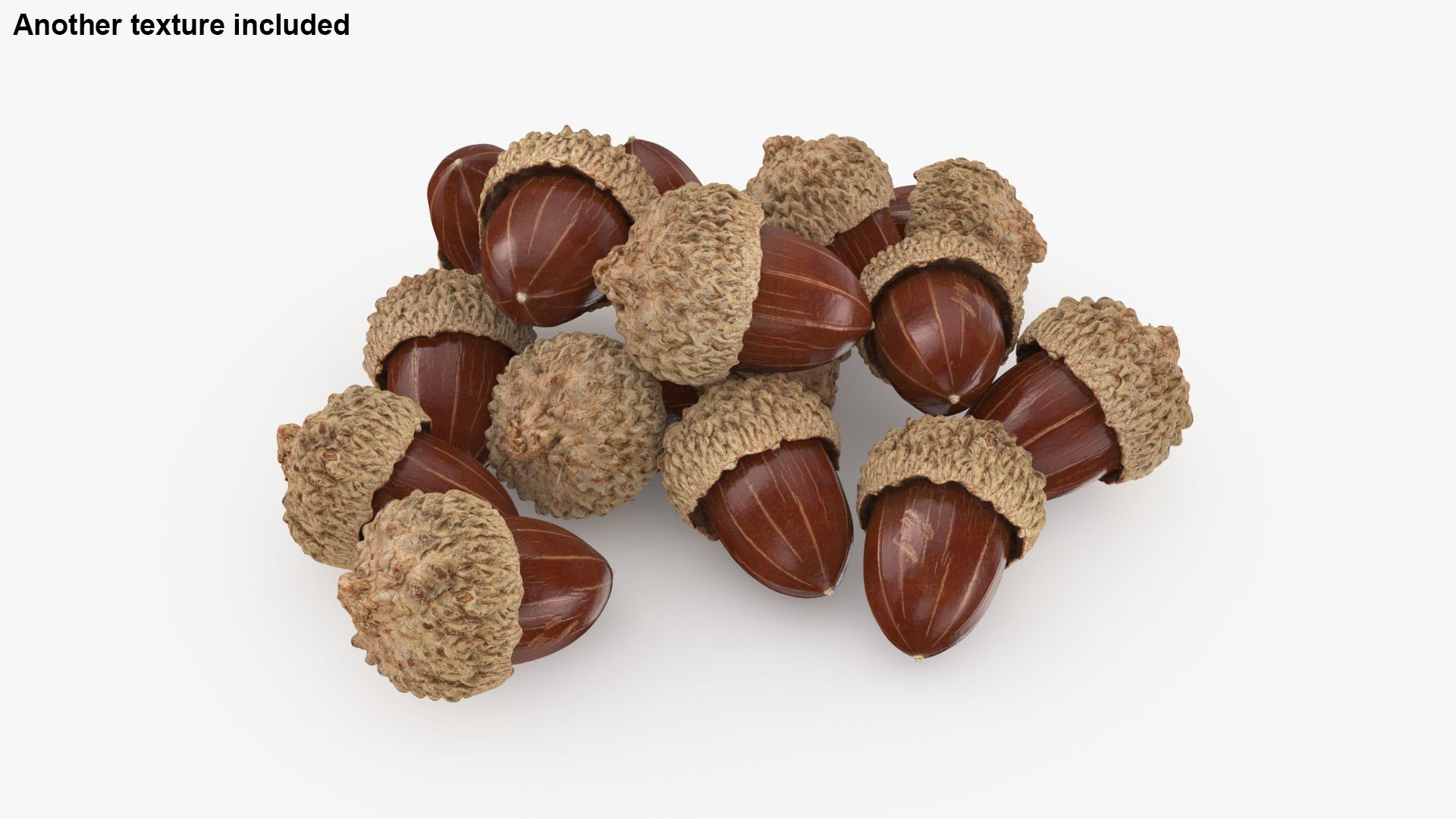 3D Acorn Collection 3 - TurboSquid 2289103