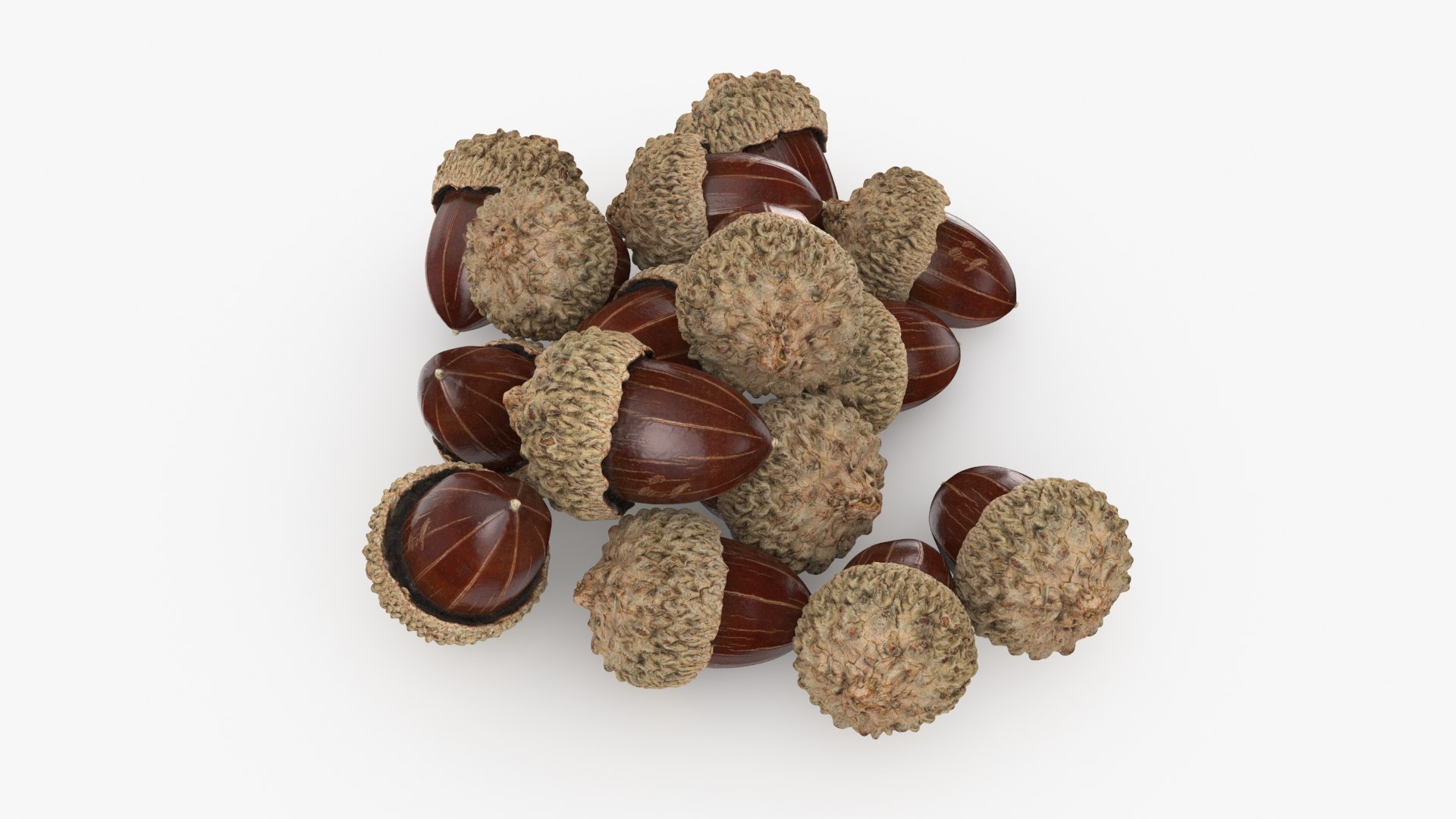 3D Acorn Collection 3 - TurboSquid 2289103