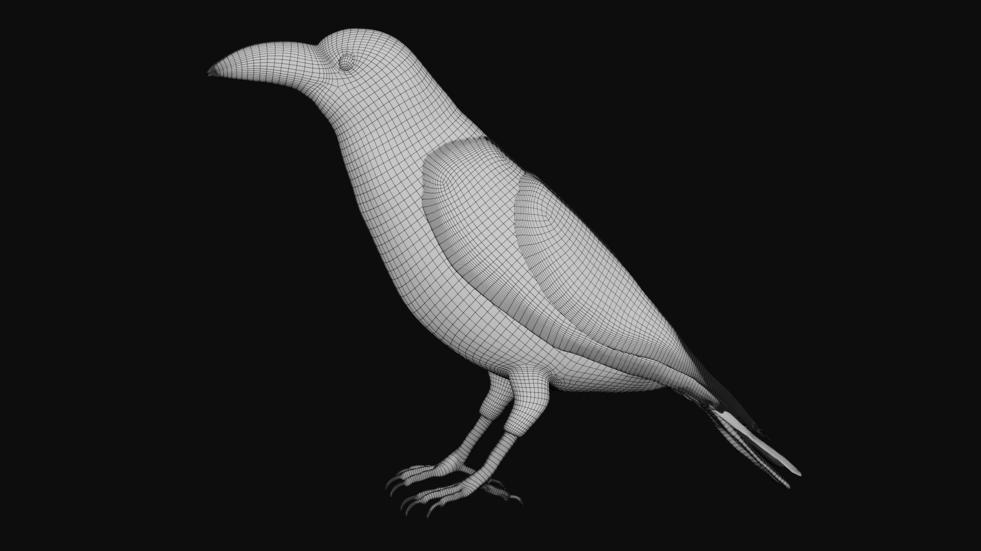 3D Standing And Flying Black Crow Raven Model - TurboSquid 1758180