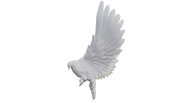 Dove 3D - TurboSquid 1765958