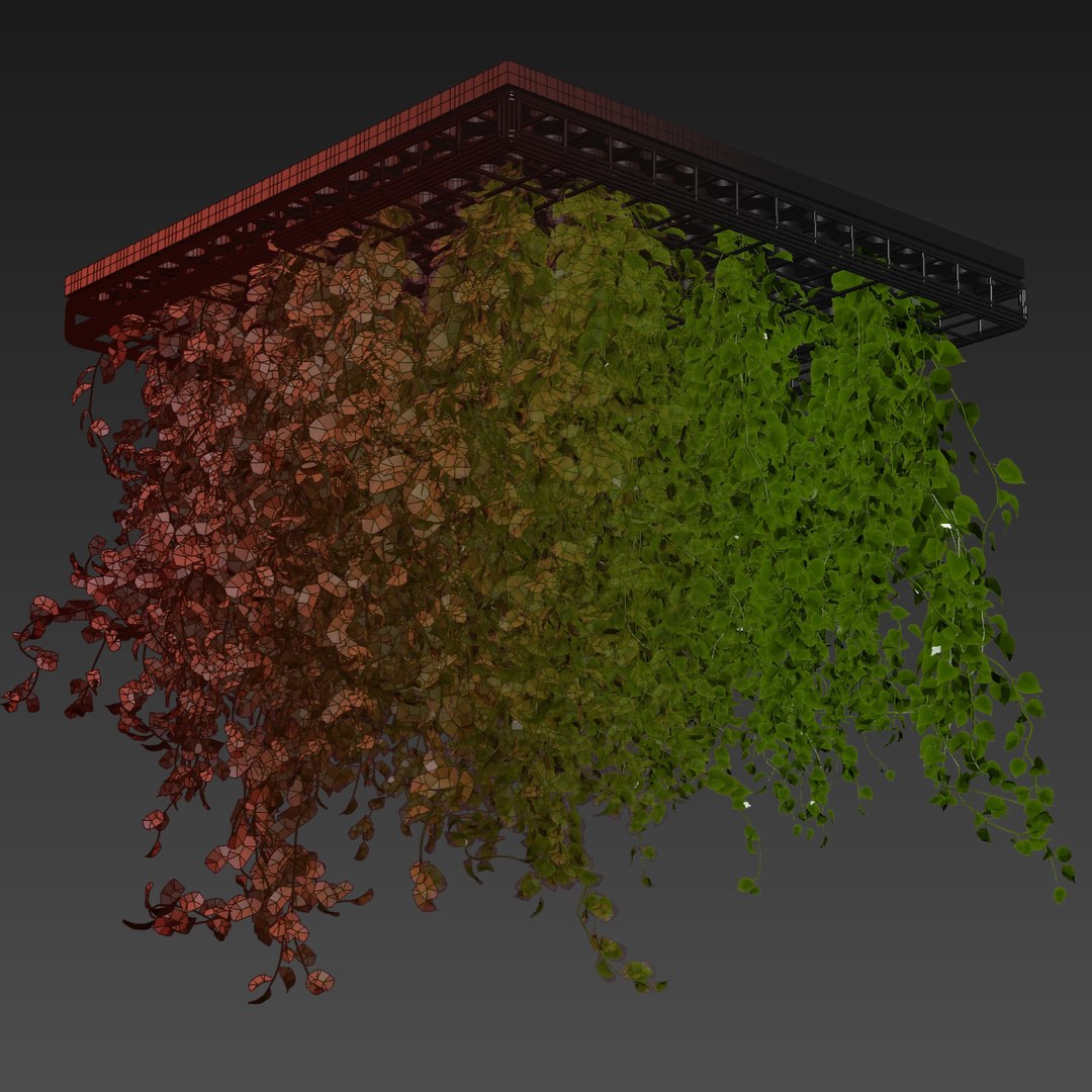 Collection plant vol 545 - ampelous - hanging - False Ceiling - tileable 3D - TurboSquid 2148700