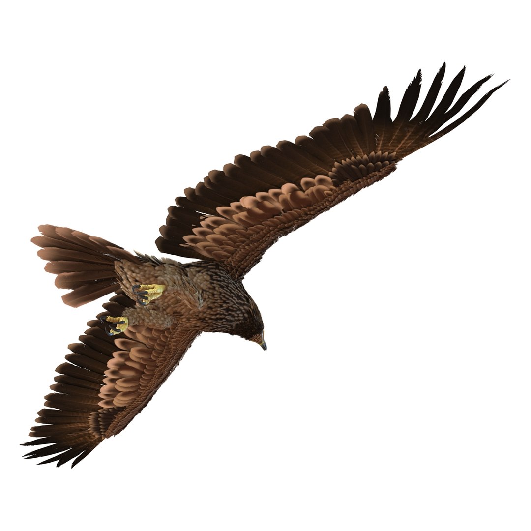 max imperial eagle rigged