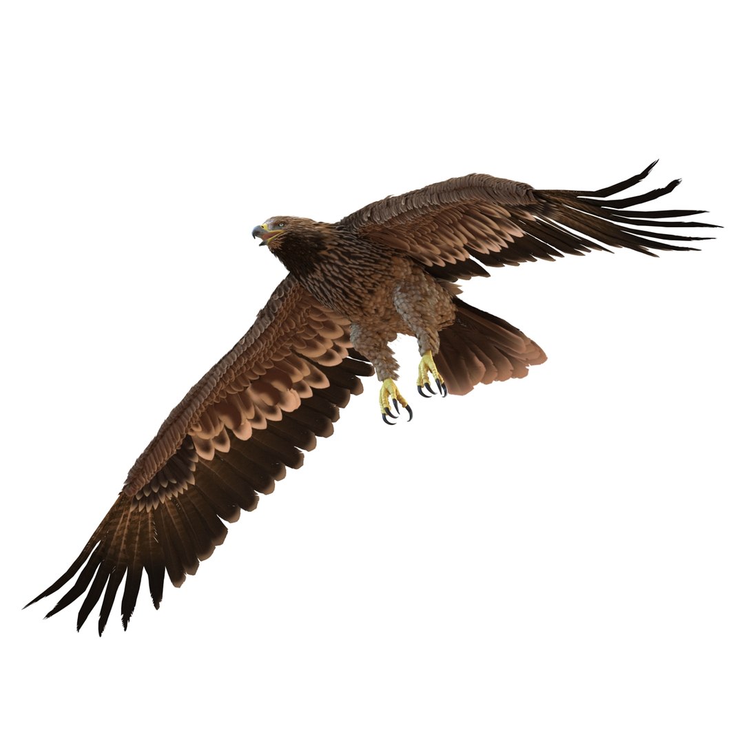 max imperial eagle rigged