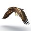 Max Imperial Eagle Rigged