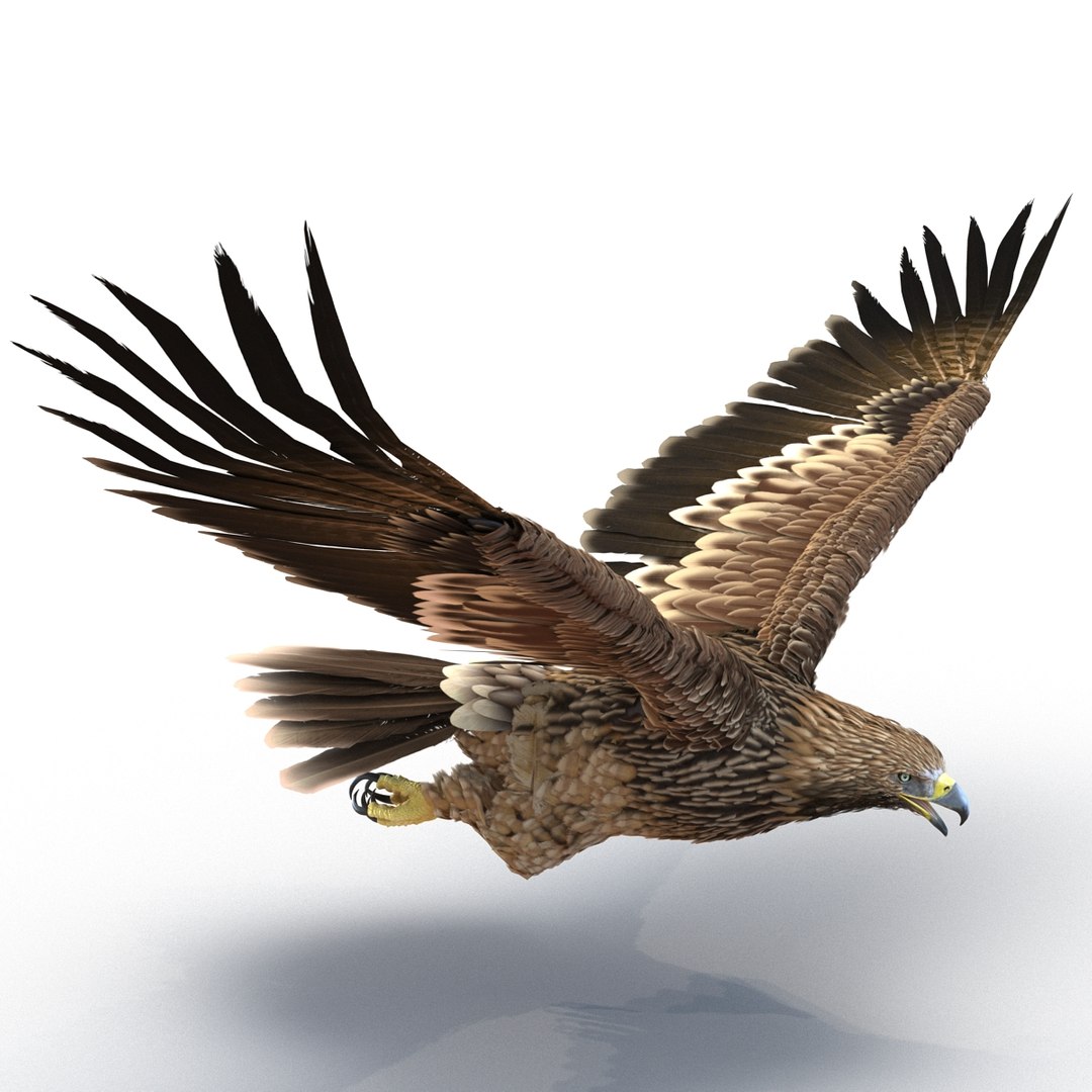 max imperial eagle rigged