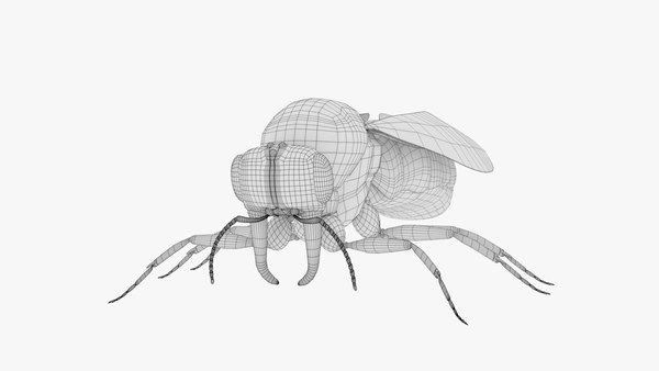 3D African Driver Ant Male - TurboSquid 1837934