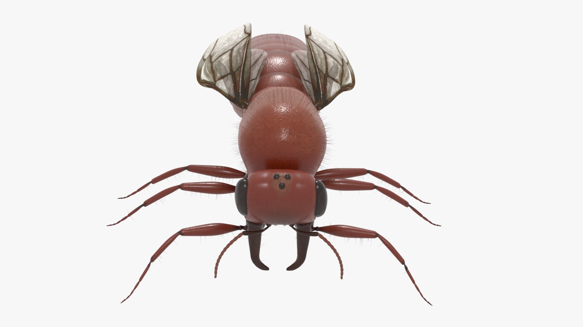 3D African Driver Ant Male - TurboSquid 1837934