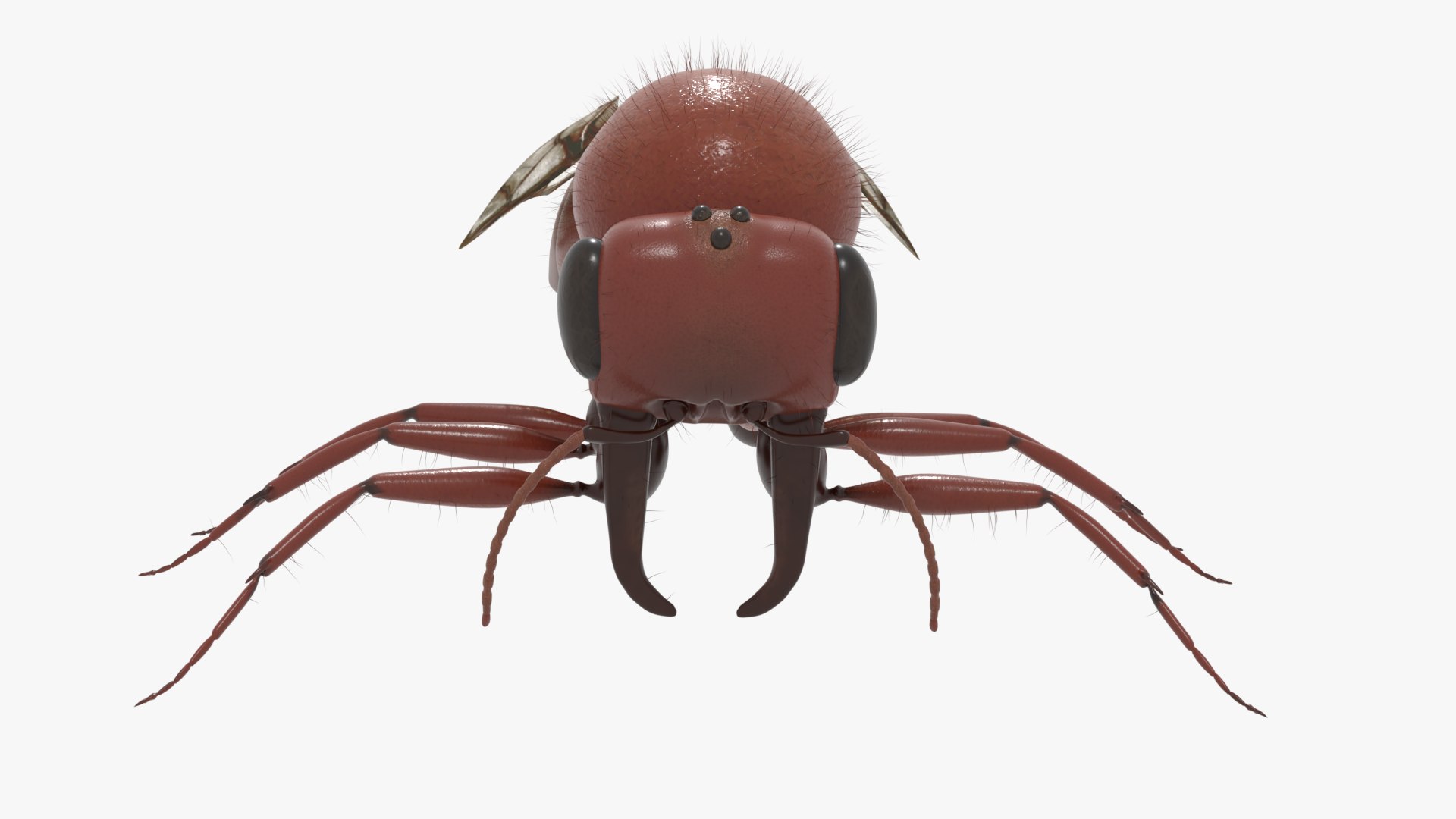 3D African Driver Ant Male - TurboSquid 1837934
