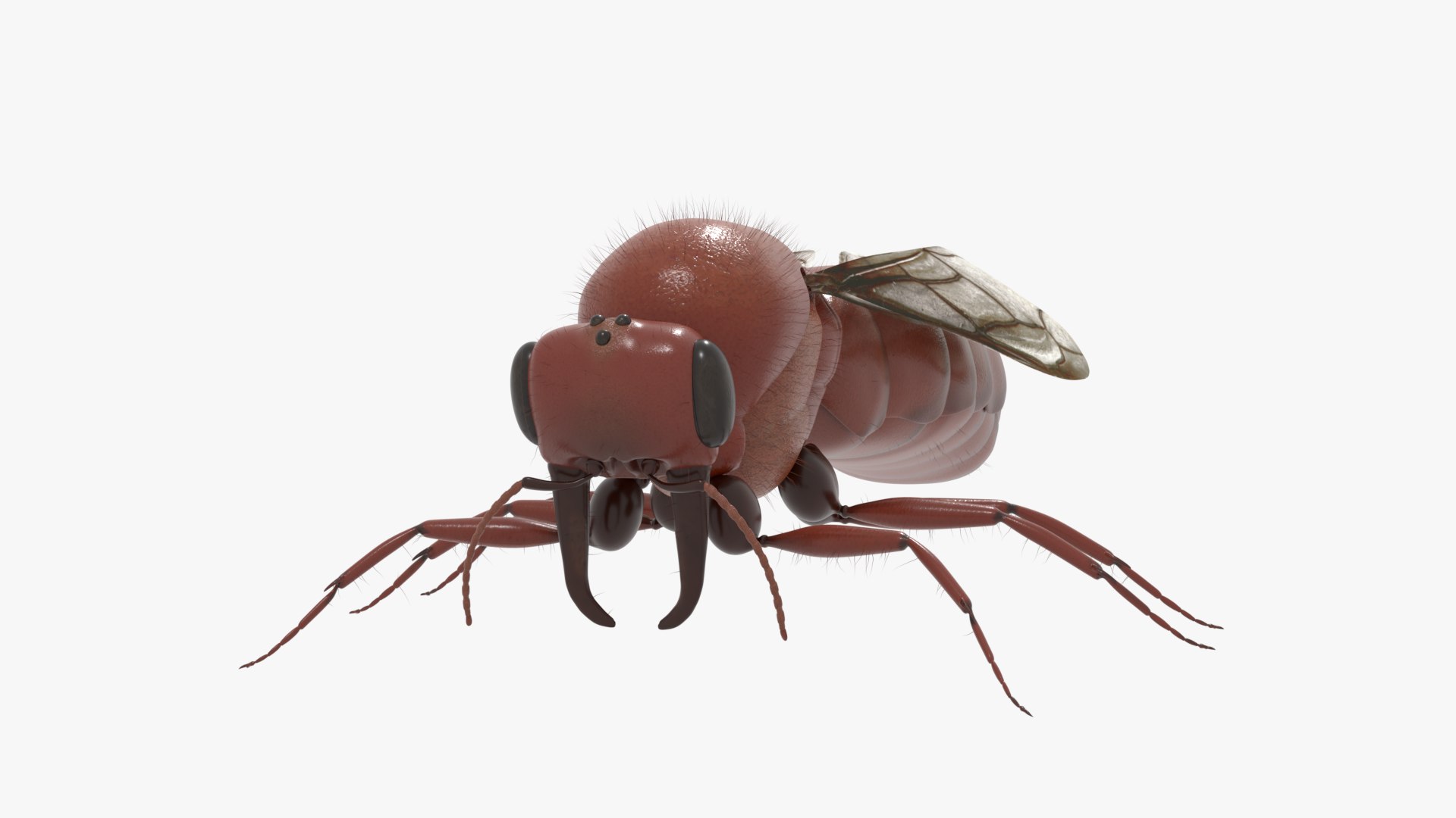 3D African Driver Ant Male - TurboSquid 1837934