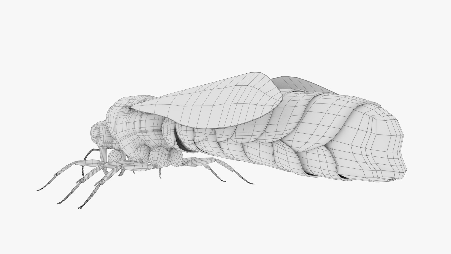 3D African Driver Ant Male - TurboSquid 1837934