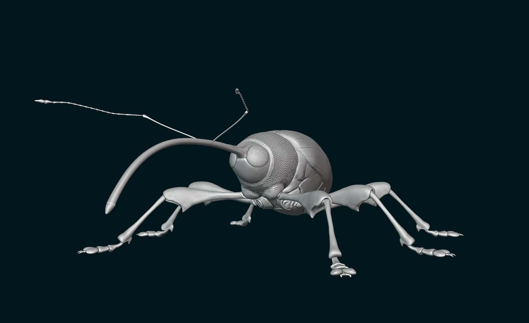 Curculio Elephas Or Chestnut Weevil 3D - TurboSquid 2207124