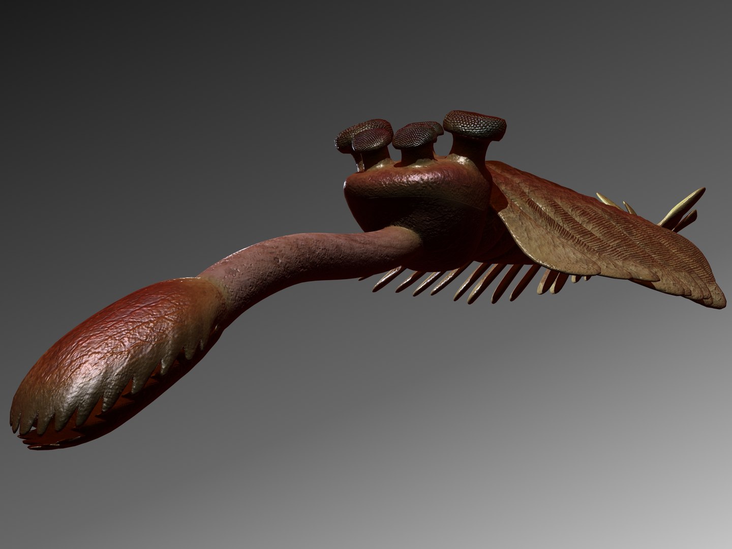 Opabinia Sealife Prehistoric 3d Model