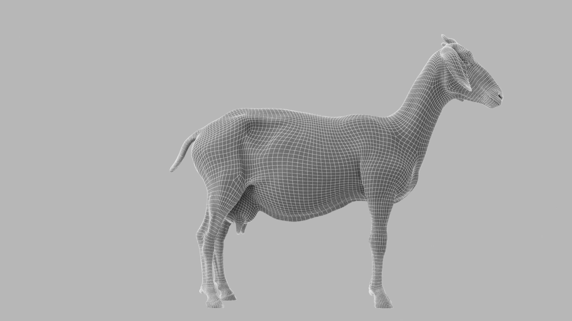 3D Goat Animal Mammal Model - TurboSquid 1672539