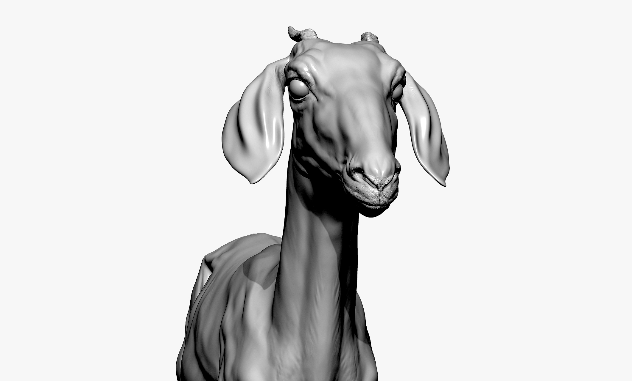 3D goat animal mammal model - TurboSquid 1672539